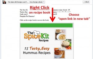 Free Hummus Recipe eBook (eCookbook) - The Spice Kit Recipes